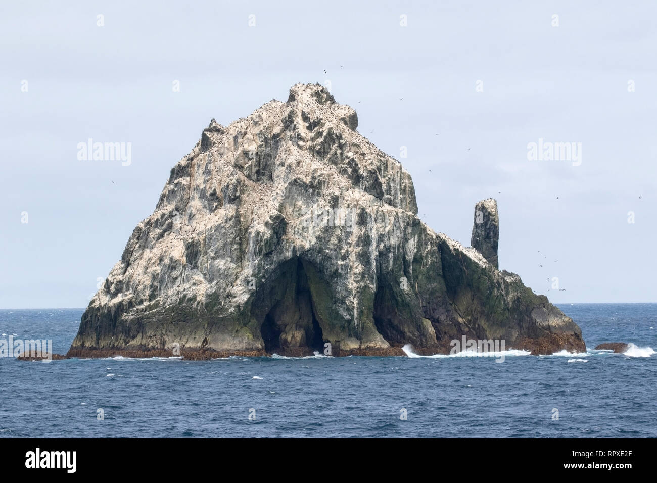 Cliffs south georgia island hi-res stock photography and images - Alamy
