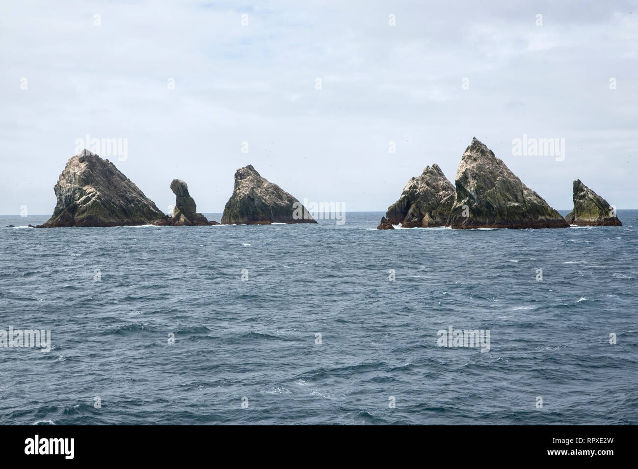 Cliffs south georgia island hi-res stock photography and images - Alamy