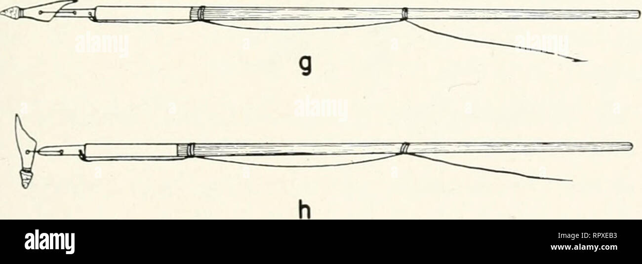 . Aleutian islanders; Eskimos of the north Pacific. Aleuts.