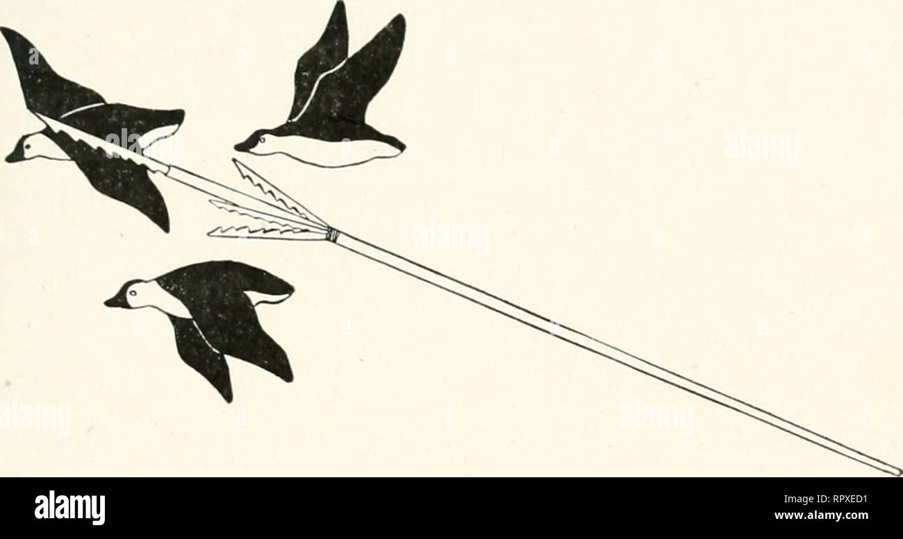 . Aleutian islanders; Eskimos of the north Pacific. Aleuts. 7u). 35 ...