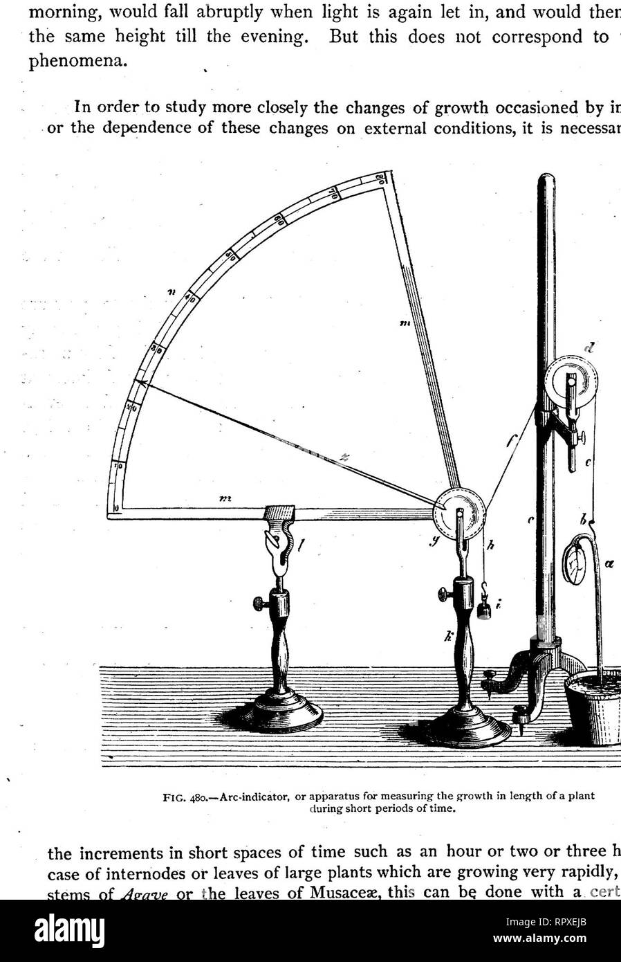 . Text-book of botany, morphological and physiological. Botany. DAILY ...