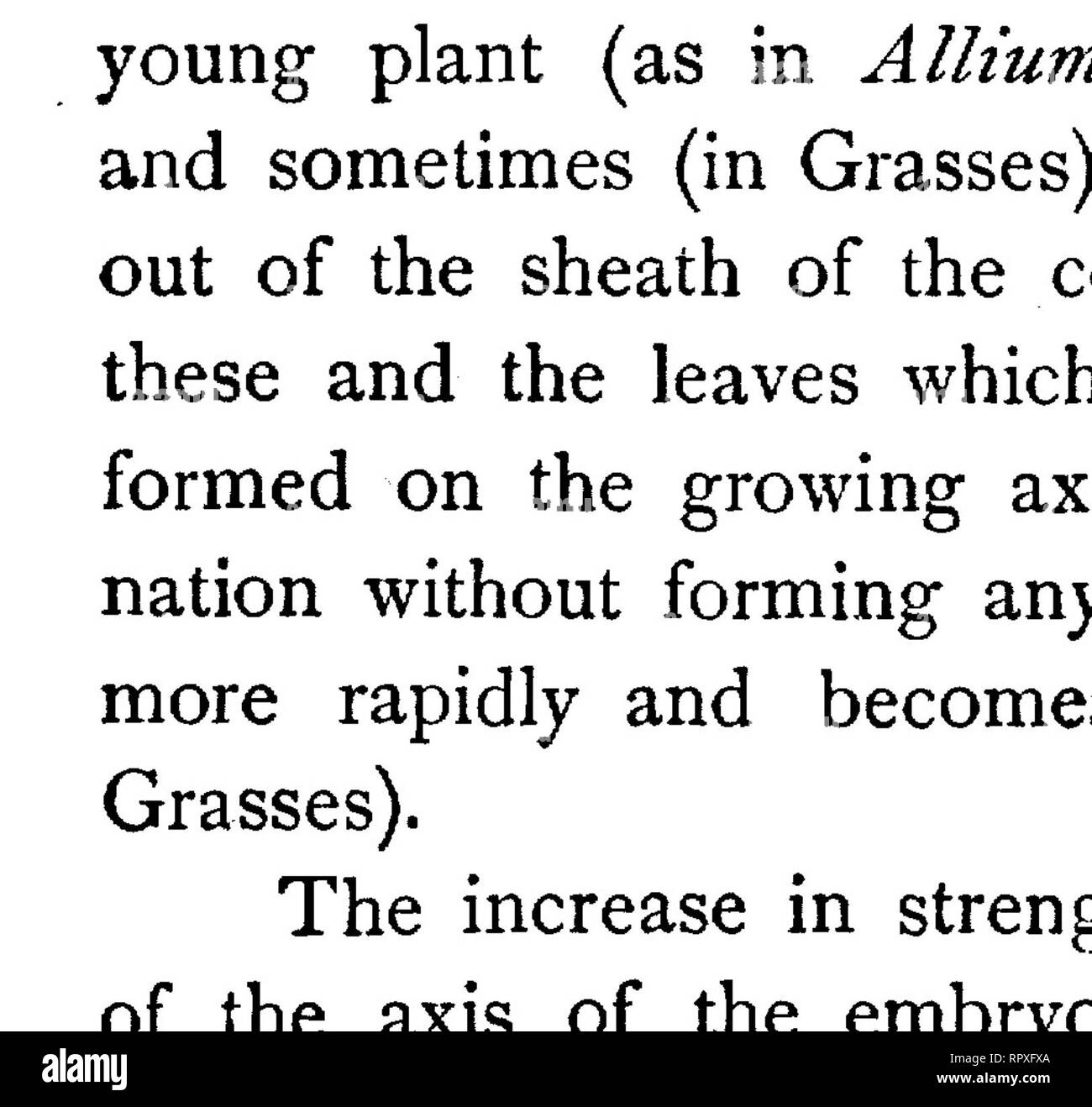 . Text-book of botany, morphological and physiological. Botany ...
