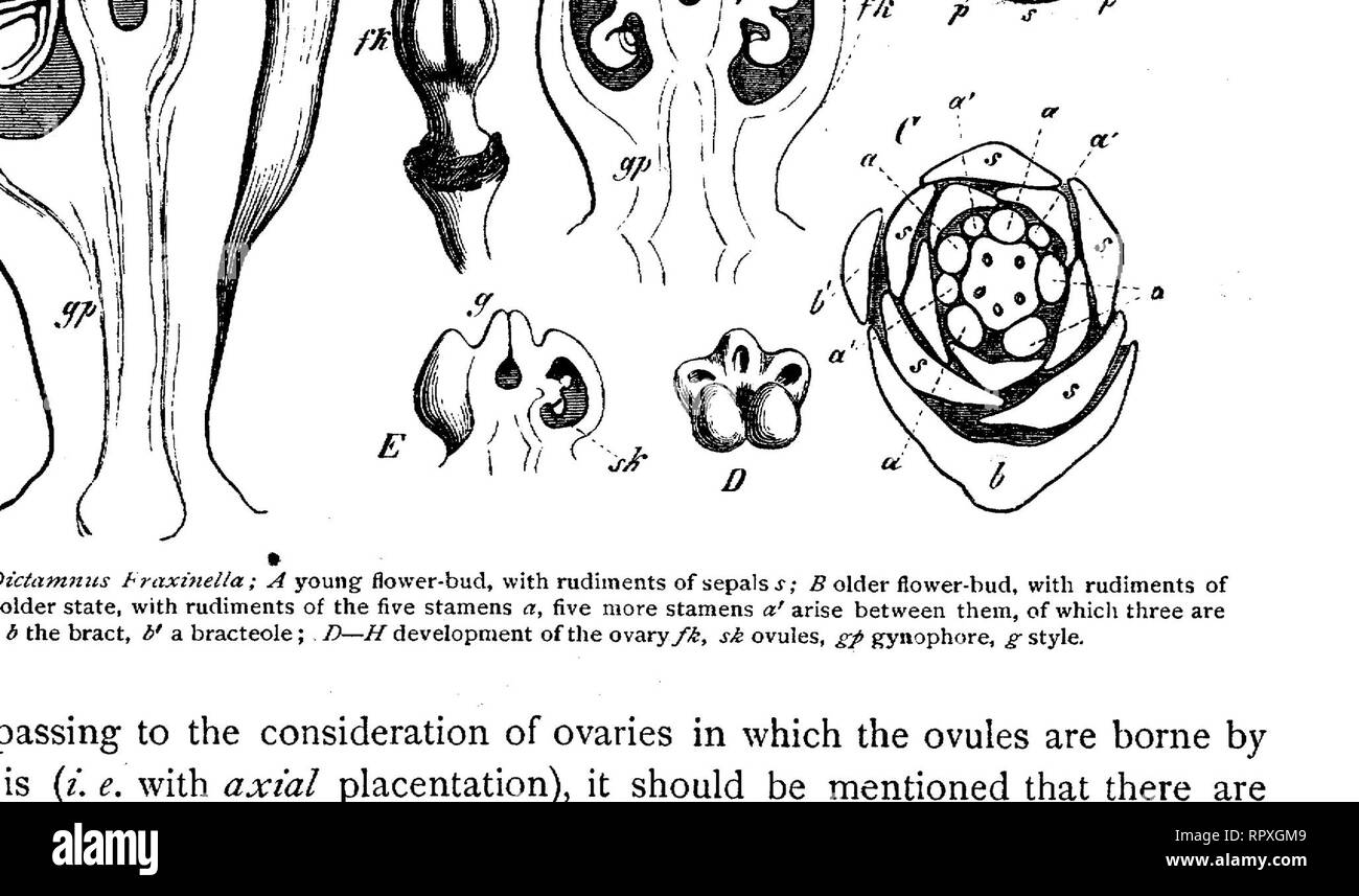 . Text-book of botany, morphological and physiological. Botany. 5*4 ...