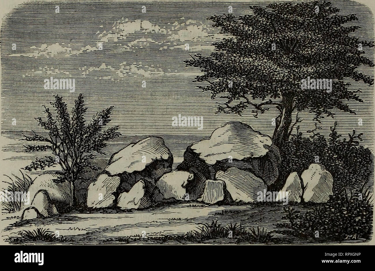 . Album der Natuur. 210 OVER DE OUDE BEGRAAFPLAATSEN IN DRENTHE ...