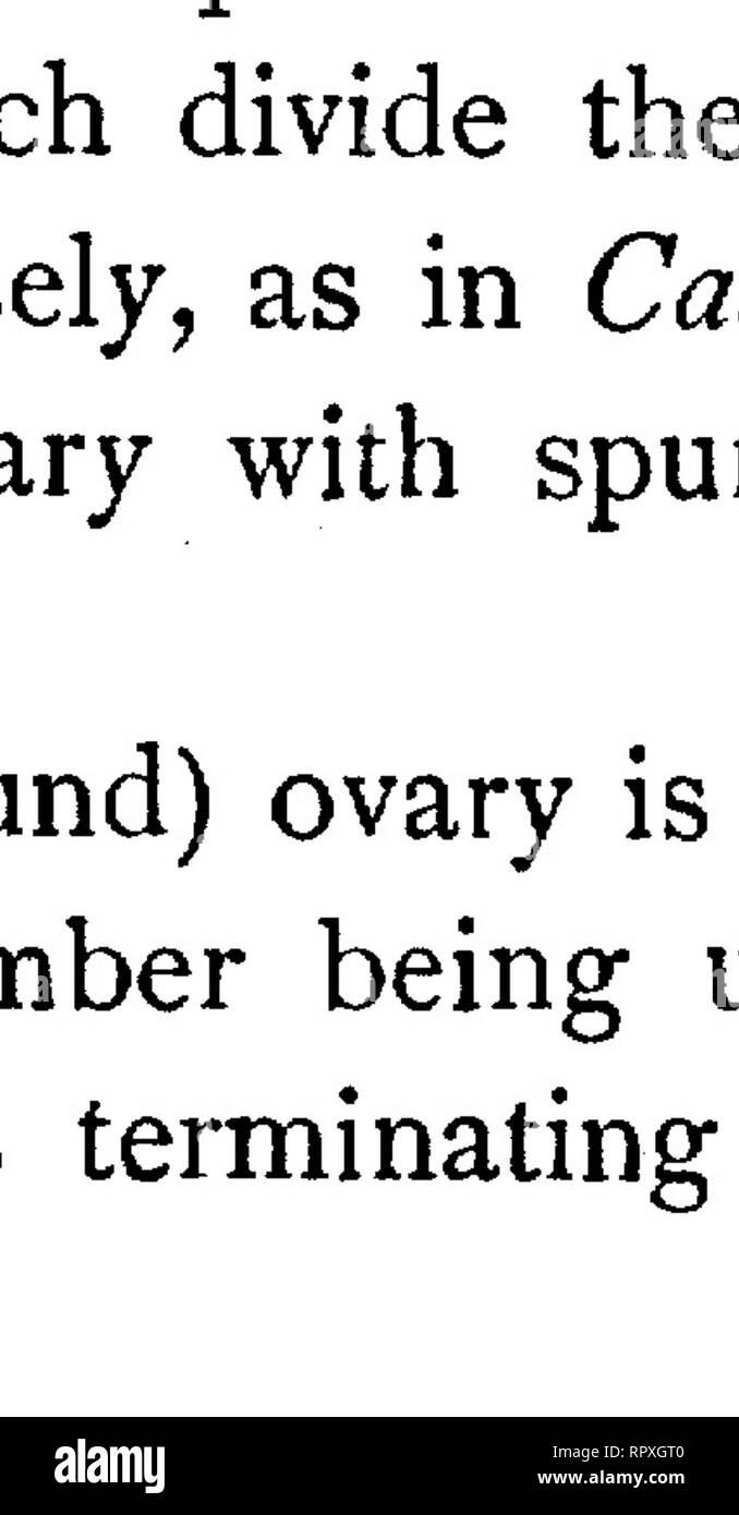 Loculi Black and White Stock Photos & Images - Alamy