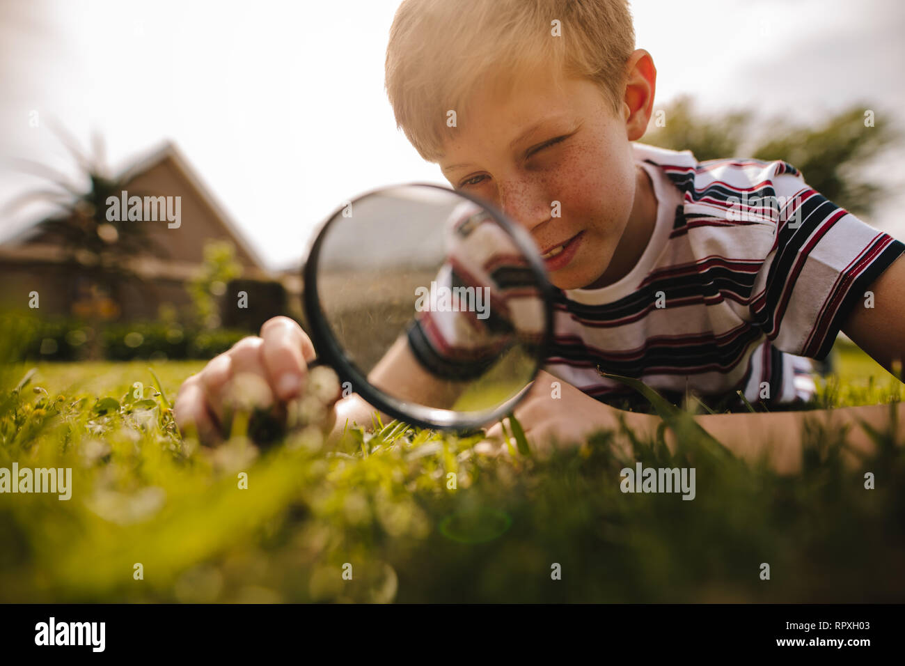 Child magnifying glass insect hi-res stock photography and images - Alamy
