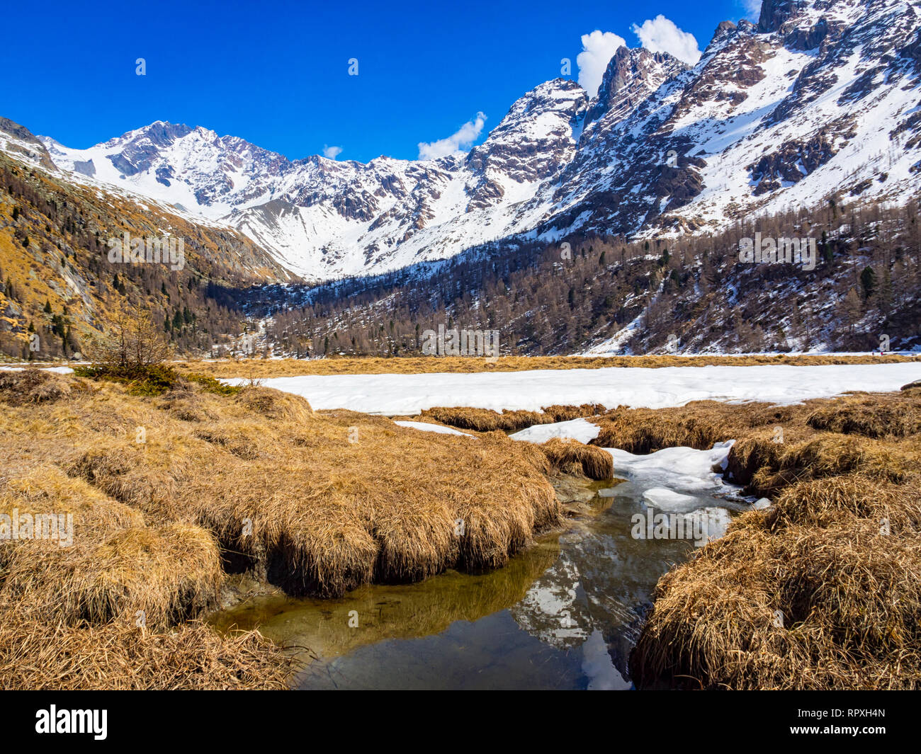 Spring tha in the alps Stock Photo - Alamy