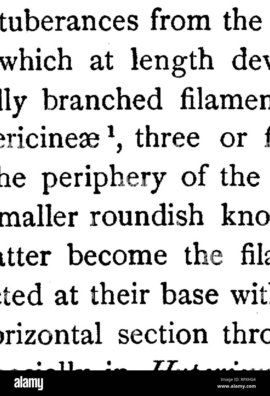 Cucurbita pepo right Black and White Stock Photos & Images - Alamy