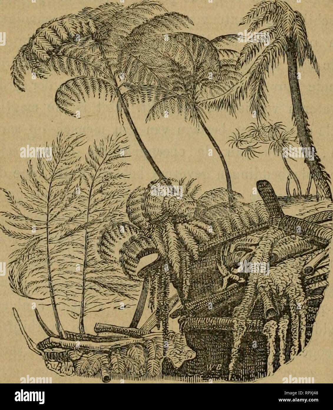 Groep voorwerpen hi-res stock photography and images - Alamy