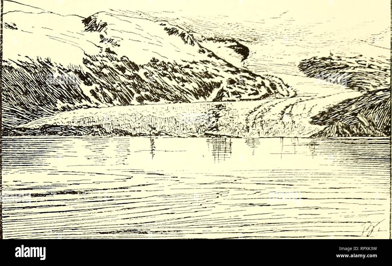 . Alaska ... Natural history; Scientific expeditions. IN HARRIMAN FIORD ...