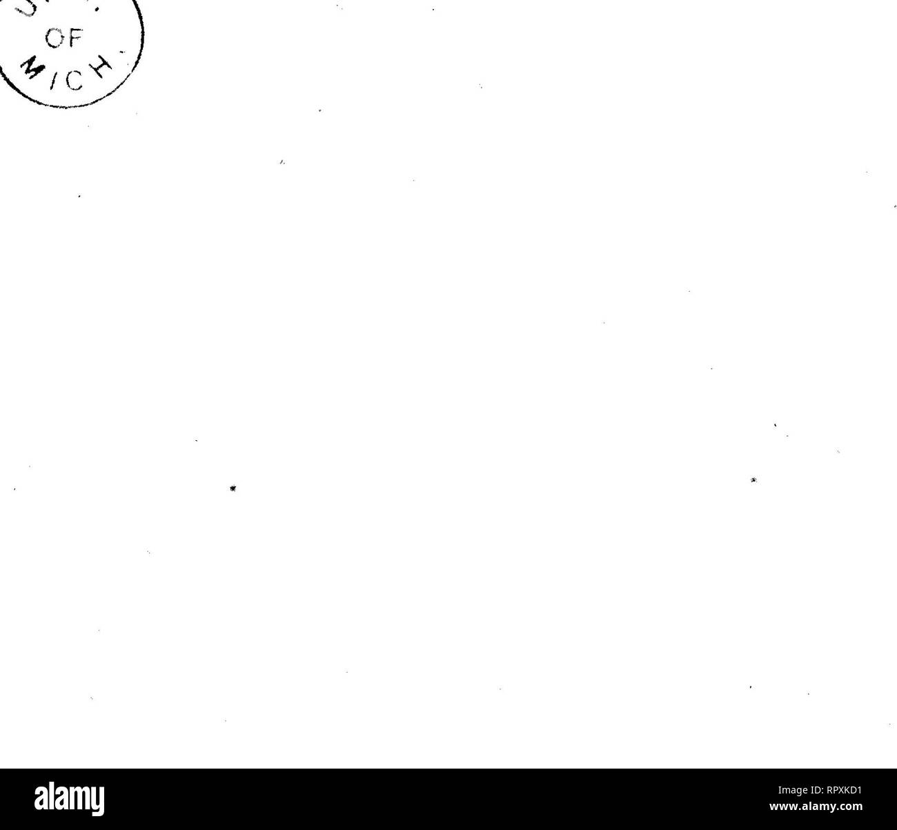 Mufle hi-res stock photography and images - Alamy