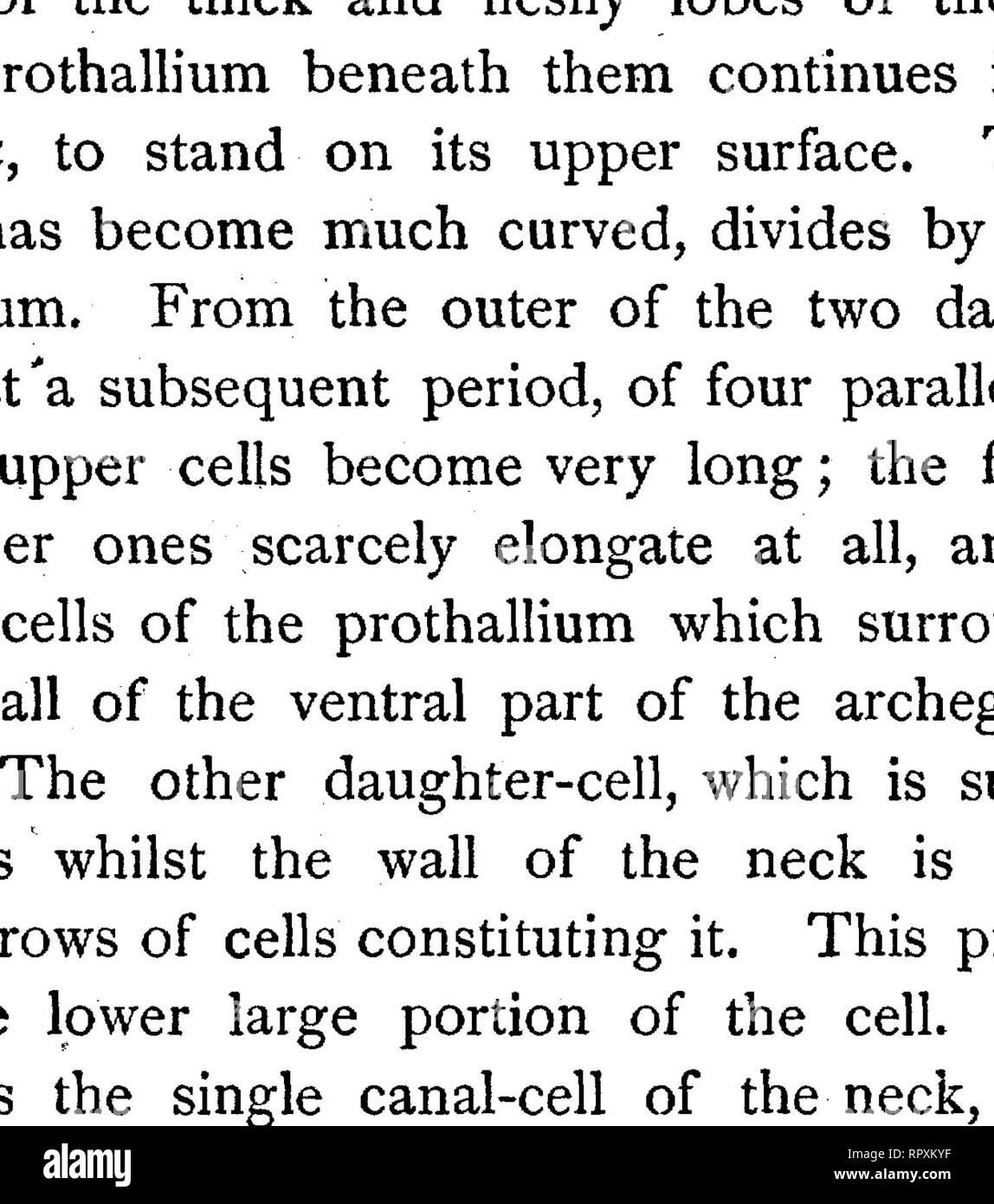 Shoot apex Black and White Stock Photos & Images - Alamy