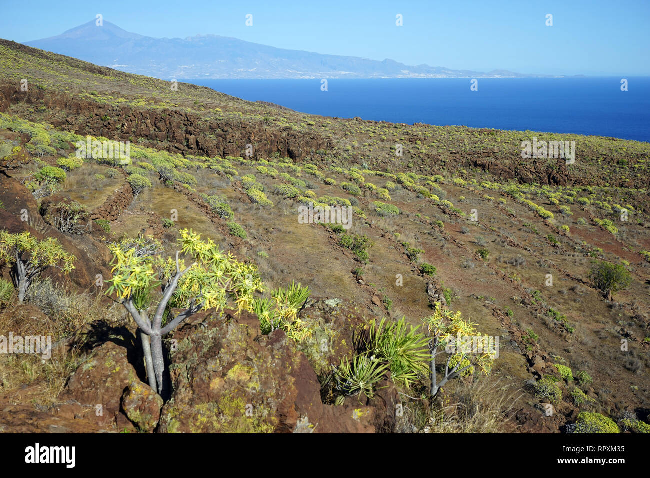 Slope of La Gomera island in Spain Stock Photo - Alamy