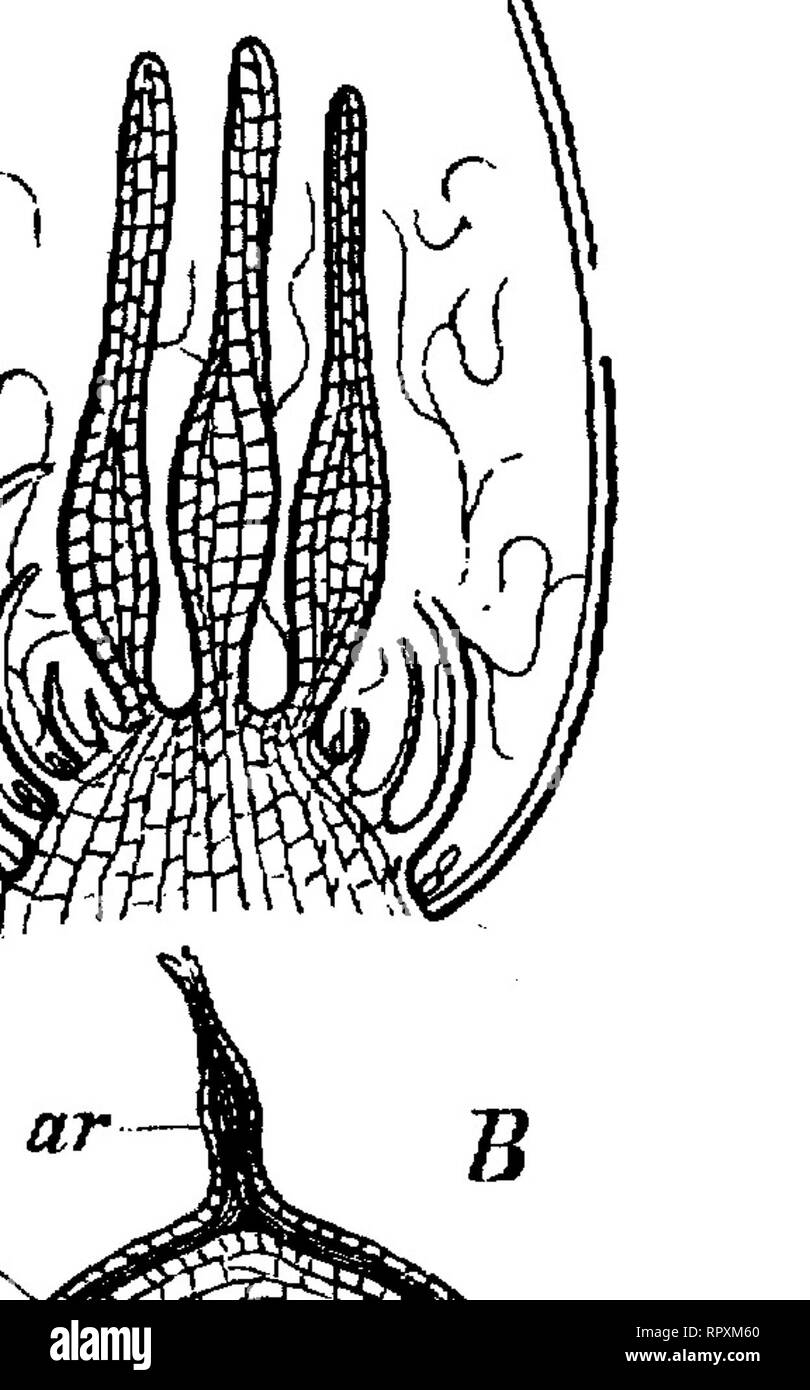 265 foot Black and White Stock Photos & Images - Alamy