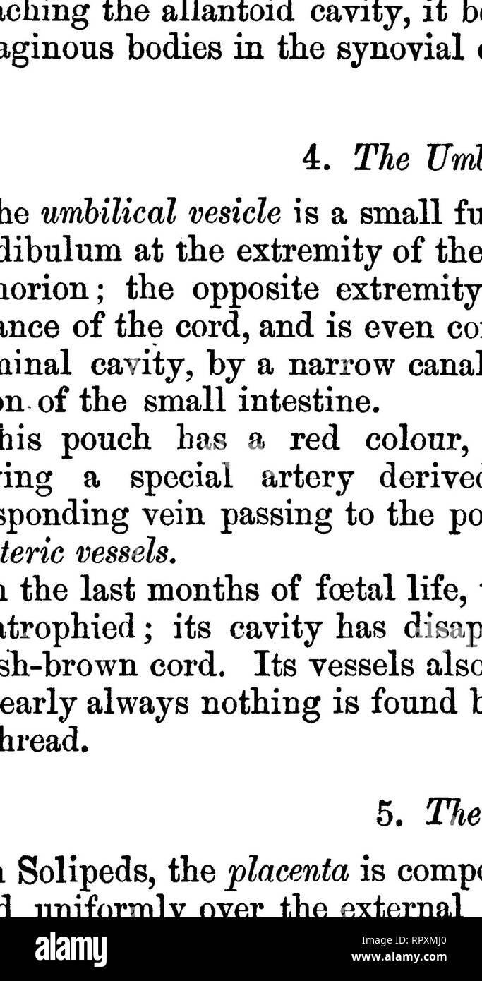 Female surface anatomy Black and White Stock Photos & Images - Alamy