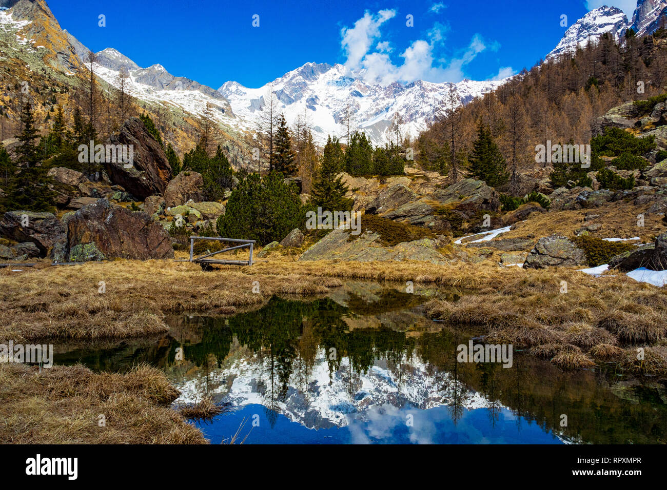 Spring tha in the alps Stock Photo - Alamy