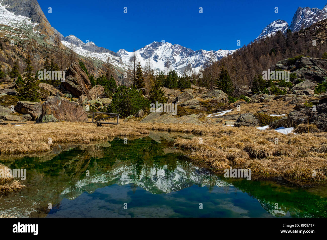 Spring tha in the alps Stock Photo - Alamy