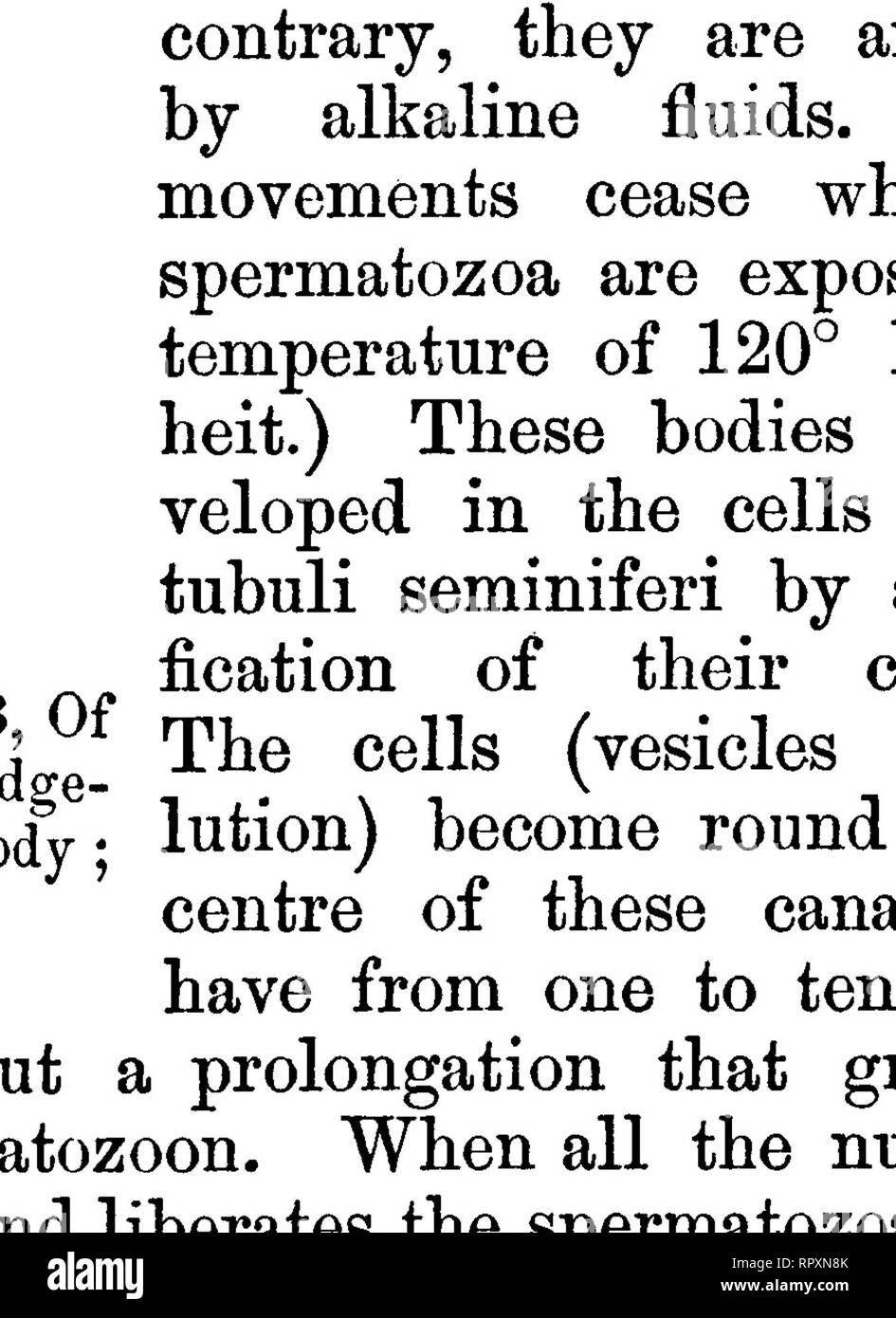 . The comparative anatomy of the domesticated animals. Veterinary ...
