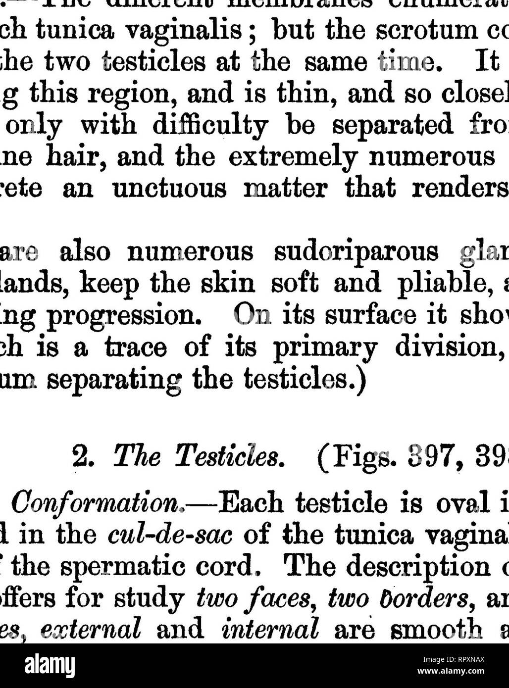 . The comparative anatomy of the domesticated animals. Veterinary ...
