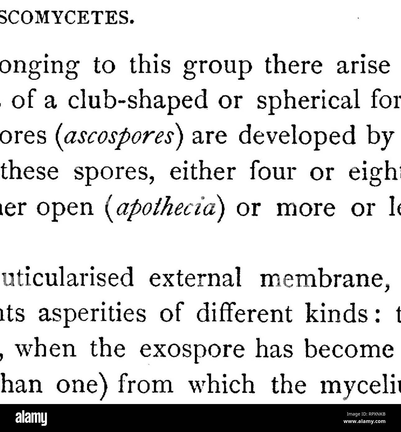 . Text-book of botany, morphological and physiological. Botany ...