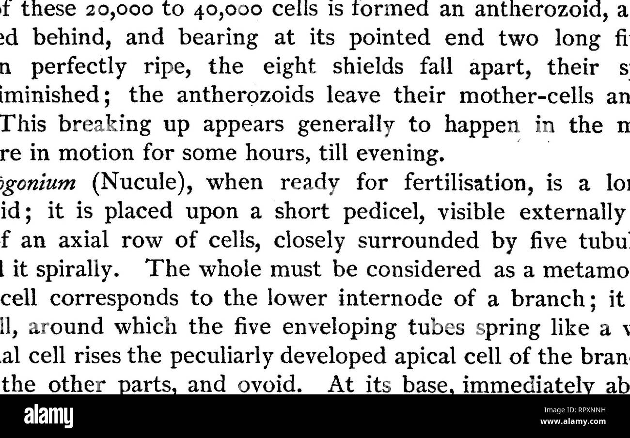 . Text-book of botany, morphological and physiological. Botany. 3 ...