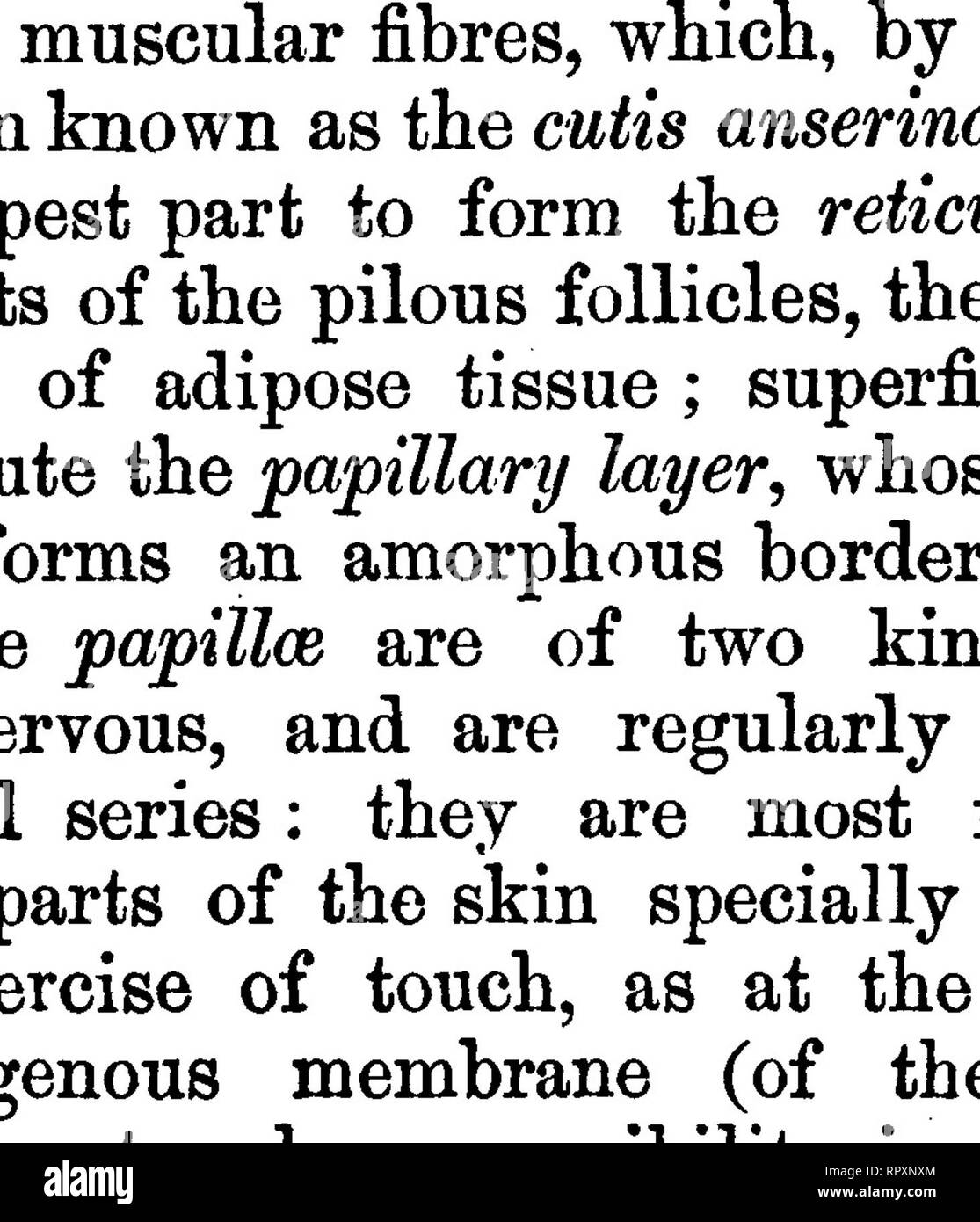 . The comparative anatomy of the domesticated animals. Veterinary ...