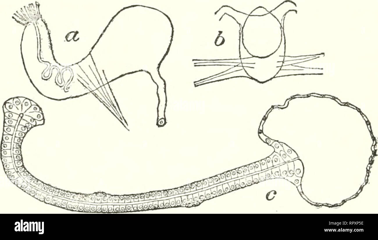. Alaska. Natural history -- Alaska; Scientific expeditions; Alaska ...