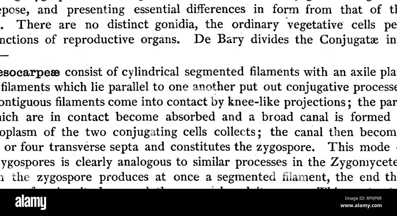 . Text-book of botany, morphological and physiological. Botany. 258 ...