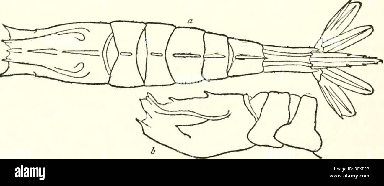 . Alaska. Natural history -- Alaska; Scientific expeditions; Alaska ...