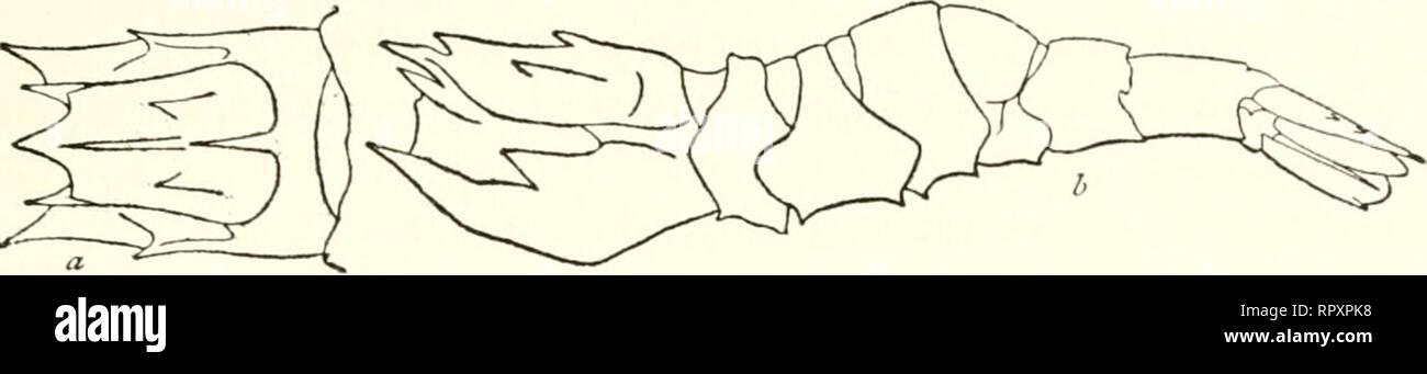 . Alaska. Natural history -- Alaska; Scientific expeditions; Alaska ...