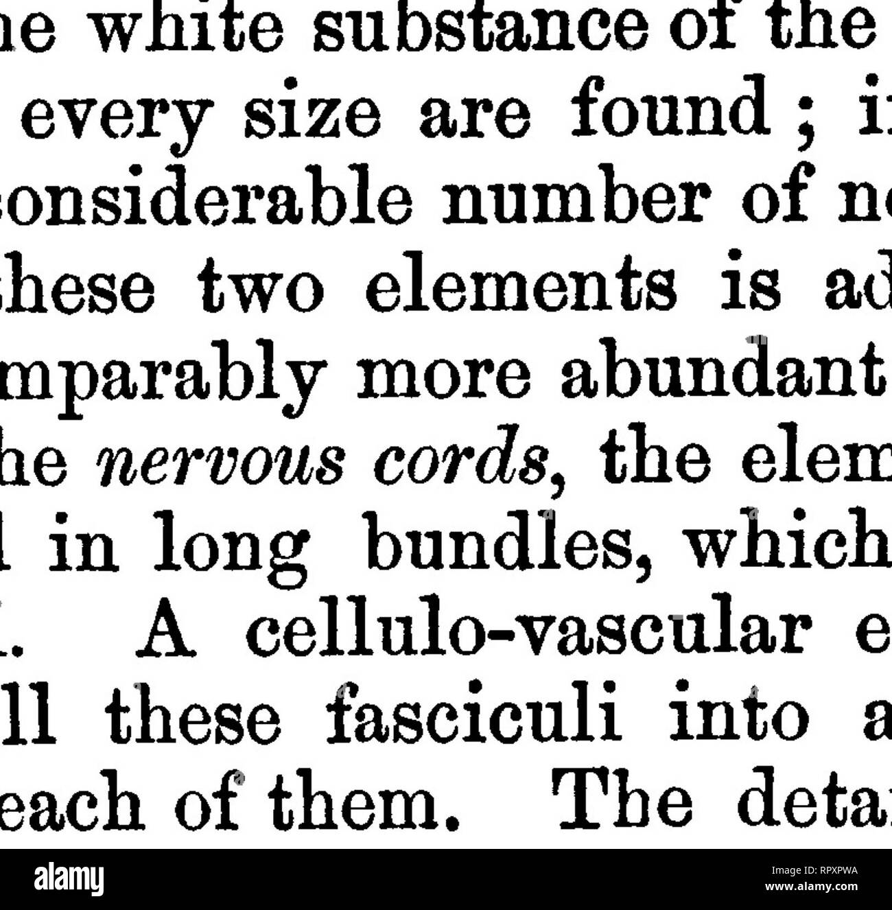 . The comparative anatomy of the domesticated animals. Veterinary ...