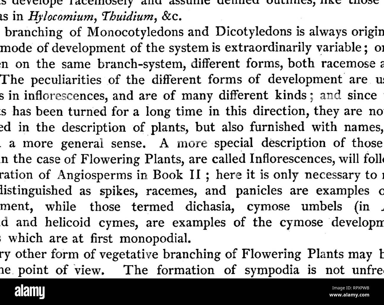 Basal shoots Black and White Stock Photos & Images - Alamy