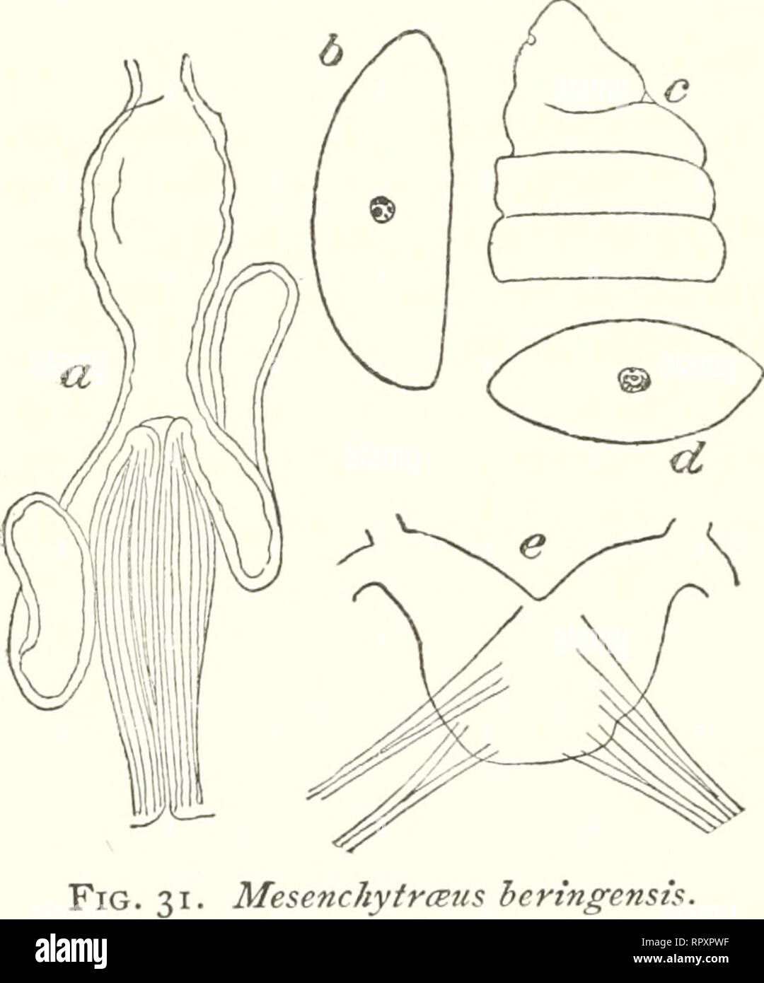 . Alaska. Natural history -- Alaska; Scientific expeditions; Alaska. 58 ...