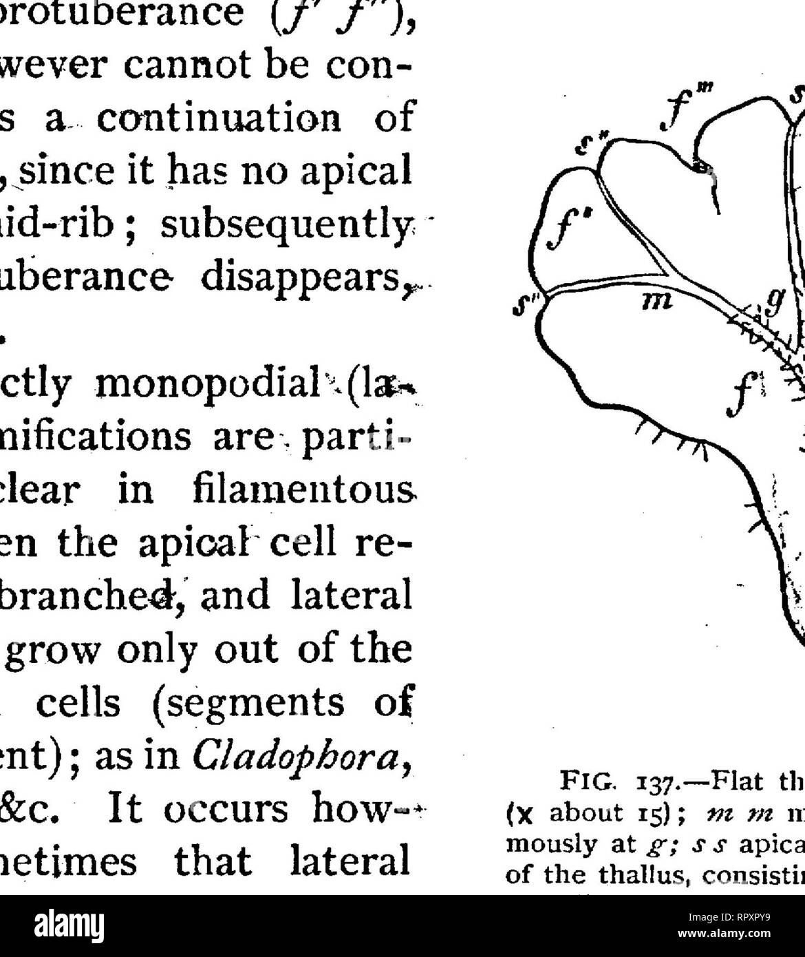 Dichotomy Black and White Stock Photos & Images - Alamy