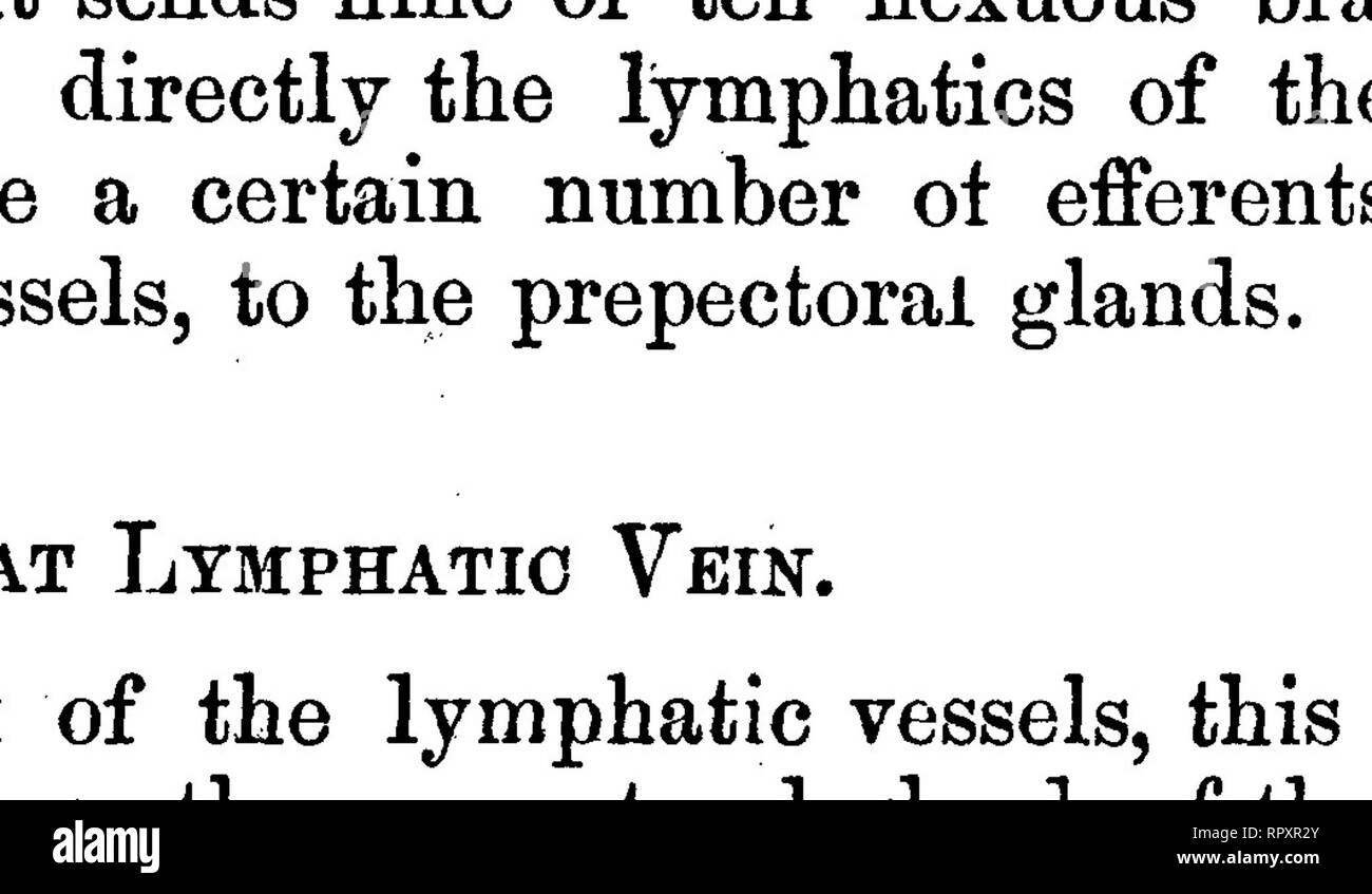 . The comparative anatomy of the domesticated animals. Veterinary ...