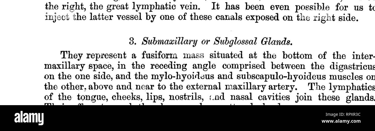 . The comparative anatomy of the domesticated animals. Veterinary ...