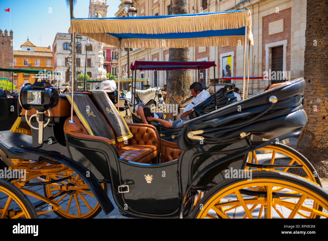 Horse drawn carriage drivers take a siesta during a hot afternoon in ...