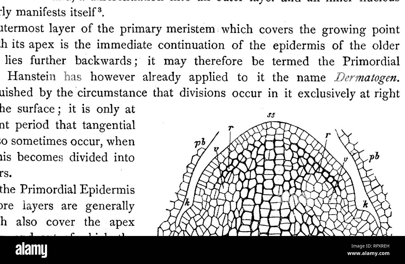 Apex cap Black and White Stock Photos & Images - Alamy
