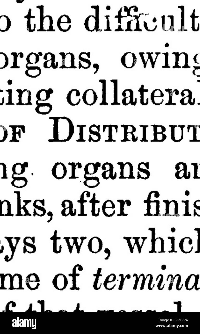 Veins arteries foot Black and White Stock Photos & Images - Alamy