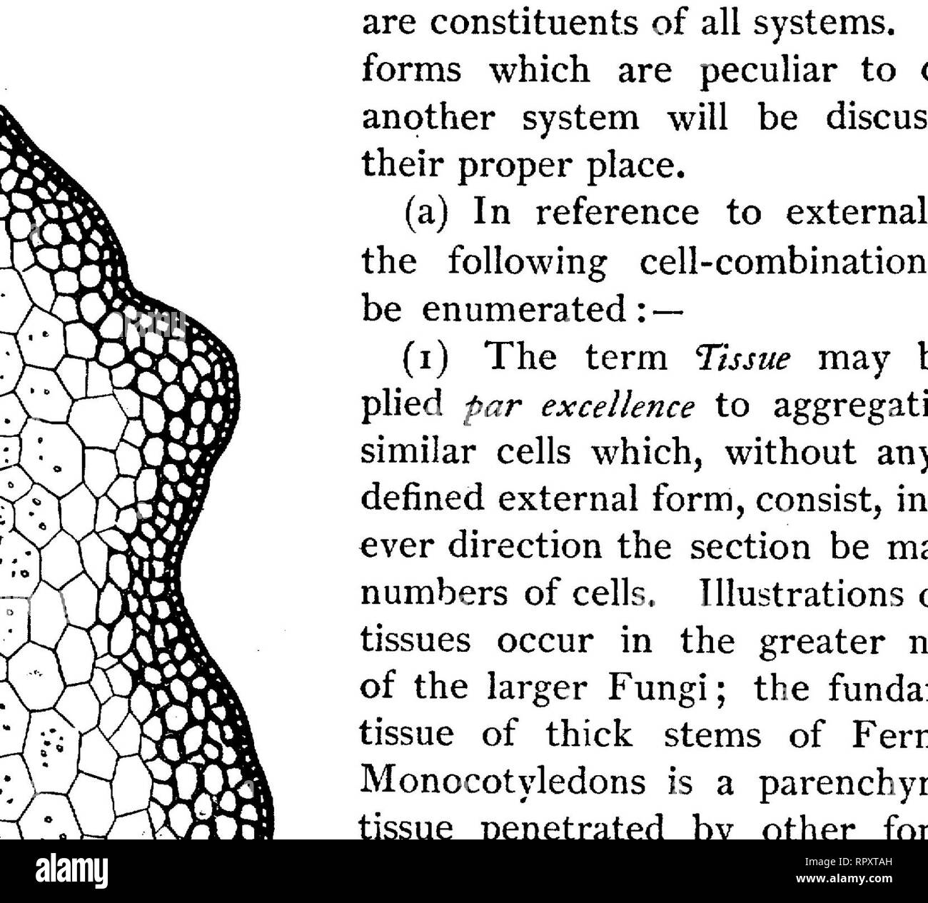 . Text-book of botany, morphological and physiological. Botany. FORMS ...