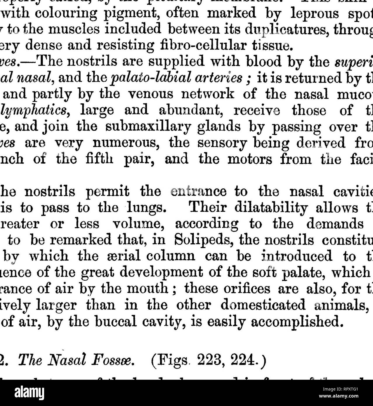 Irregular columns Black and White Stock Photos & Images - Alamy