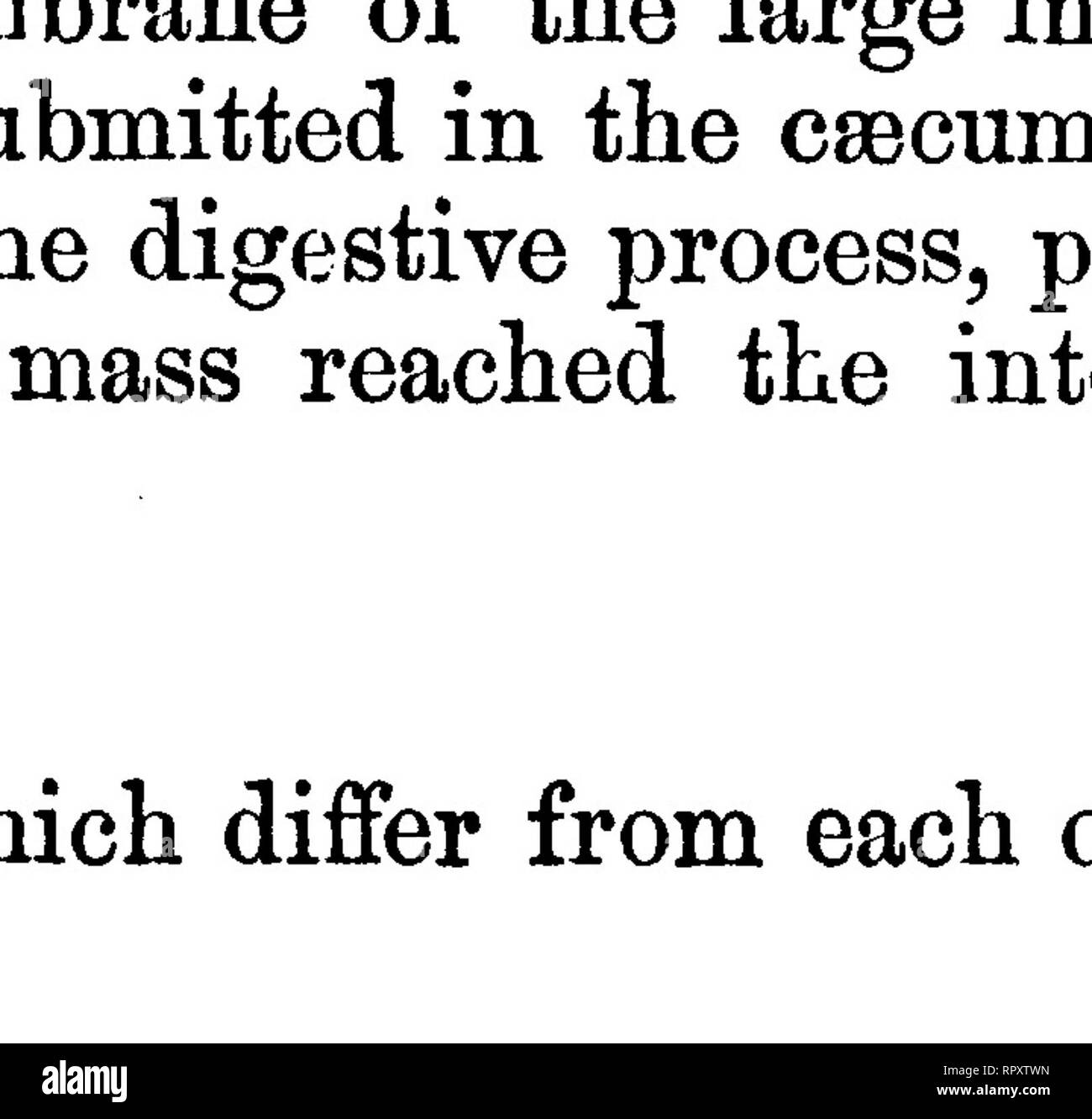 Caecum anatomy Black and White Stock Photos & Images - Alamy