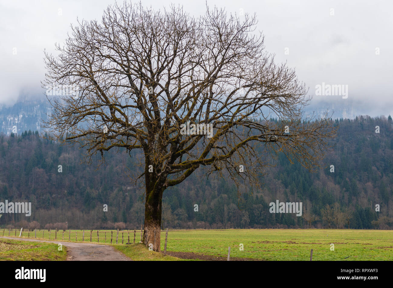 Impression of the Country side in the French Savoy Area Stock Photo - Alamy