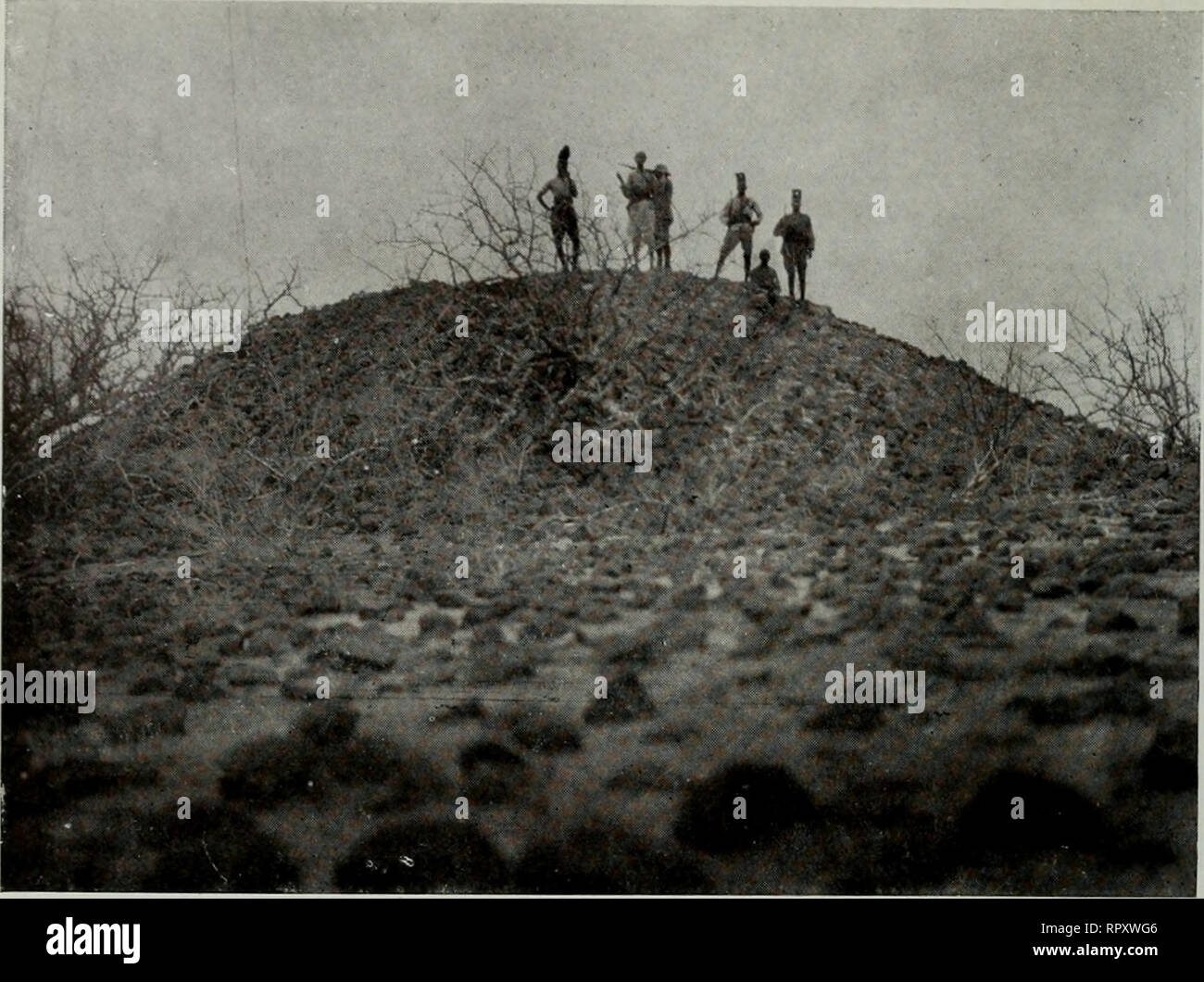 Tribu galla hi-res stock photography and images - Alamy