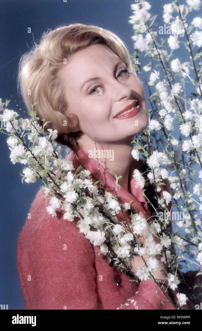 The french actress michele morgan hi-res stock photography and images ...