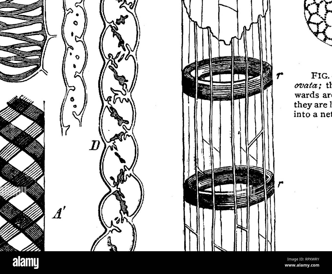 Wall dis Black and White Stock Photos & Images - Alamy