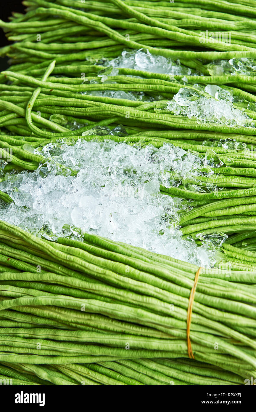 String Beans Vegetable Garden High Resolution Stock Photography and ...
