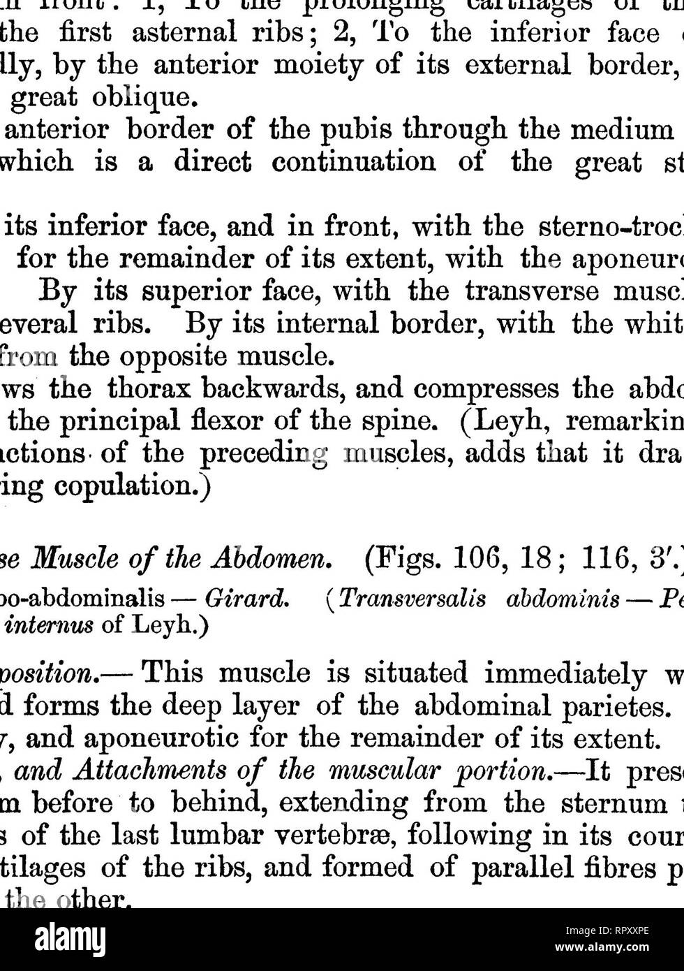 . The comparative anatomy of the domesticated animals. Veterinary ...