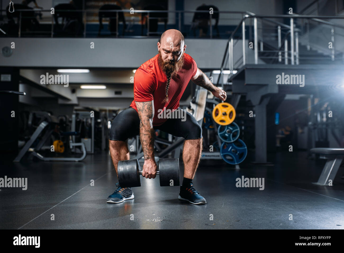 Athletic male lifter doing exercise with dumbbells in gym. Bearded ...