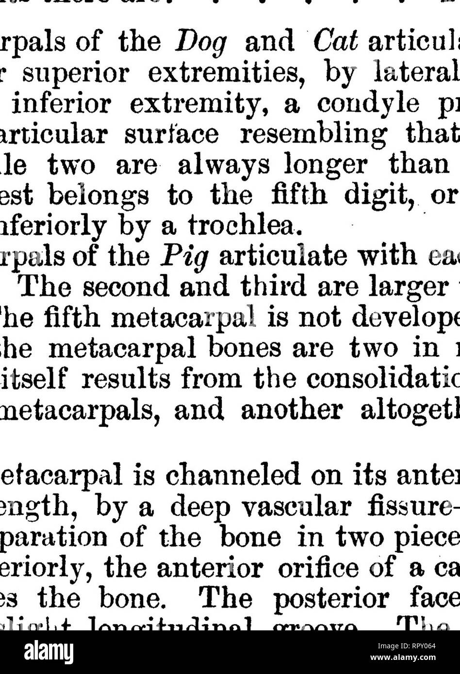 . The comparative anatomy of the domesticated animals. Veterinary ...